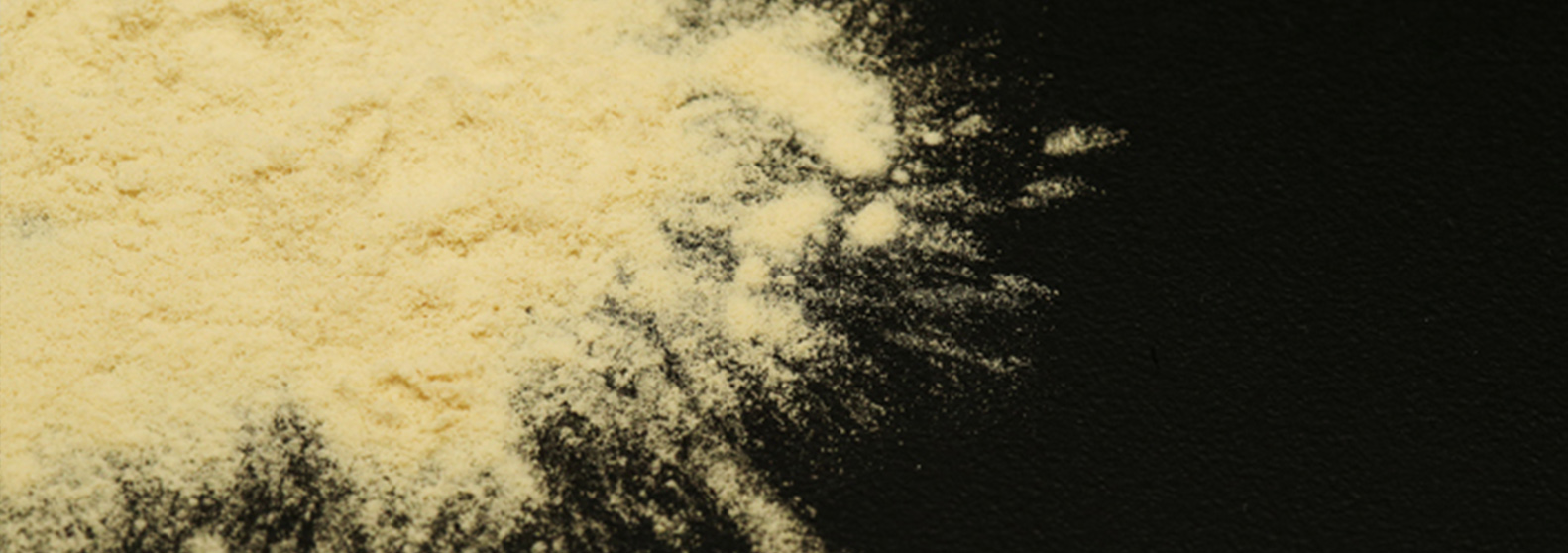 Contact - Phytokana Ingredients | The Sustainable Fuel of Life